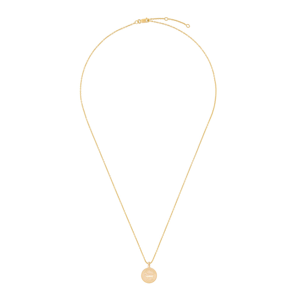Worth Your Weight in Gold | 1985 Stag Coin Necklace | Chupi